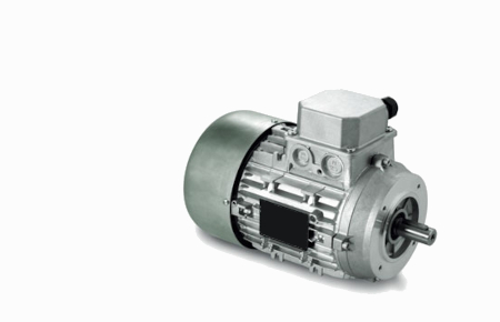 European Three-Phase IEC Motors | Rankin USA